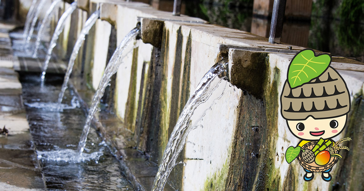 Kin town official tourlist guide